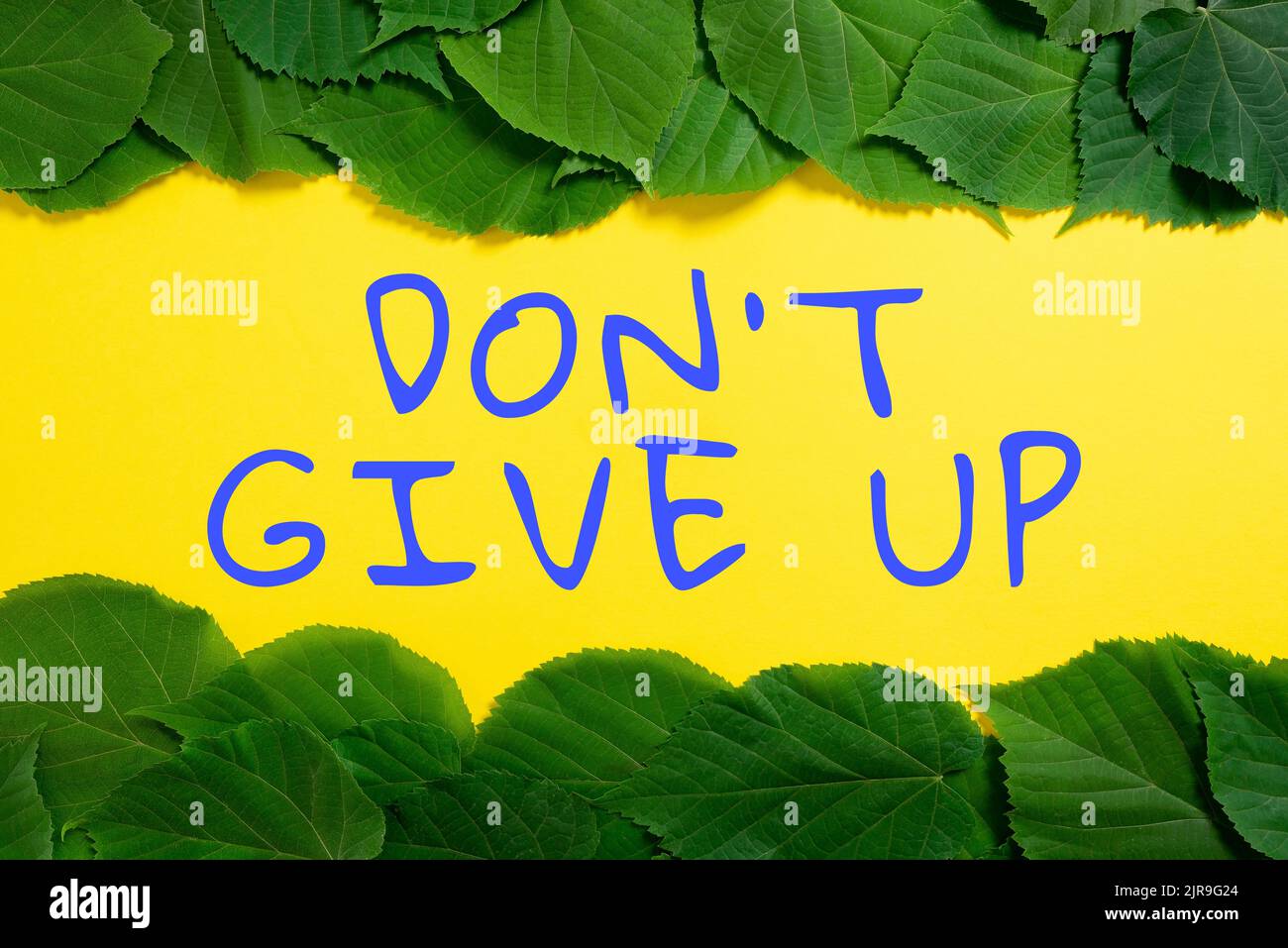 Conceptual display Don T Not Give Up. Word for Determined Persevering ... Conceptual display Don T Not Give Up. Word for Determined Persevering ...
