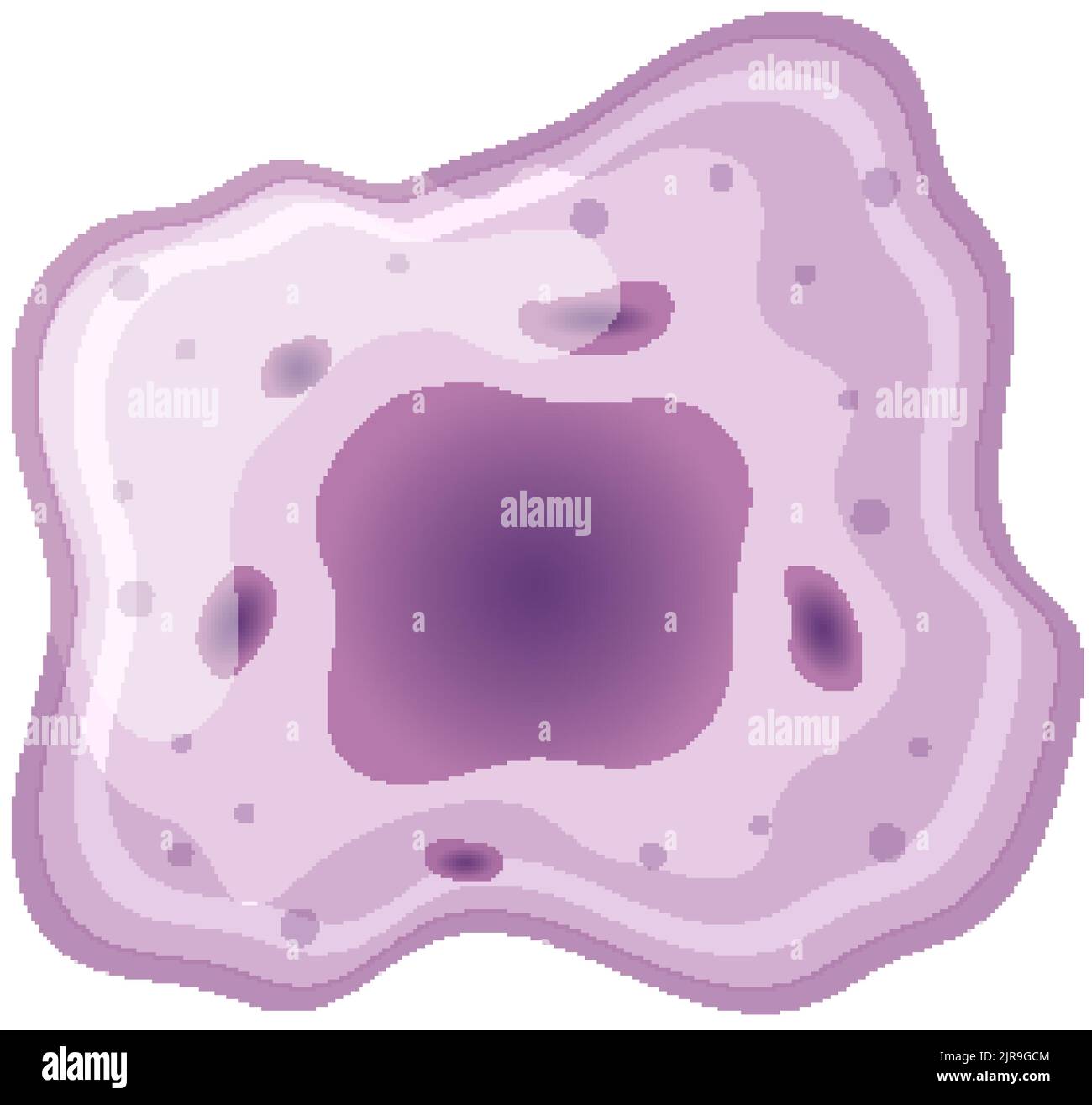 bacteria cell cartoon vector illustration Stock Vector Image & Art - Alamy