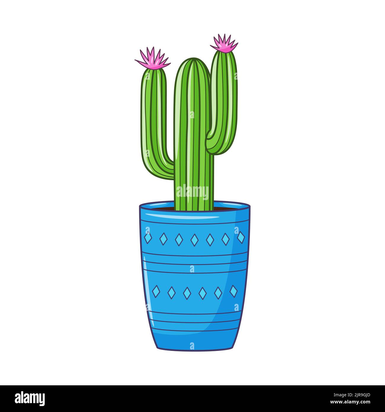 Vector cartoon cactus in pot. Indoor succulent plant with thorns. Cacti ...