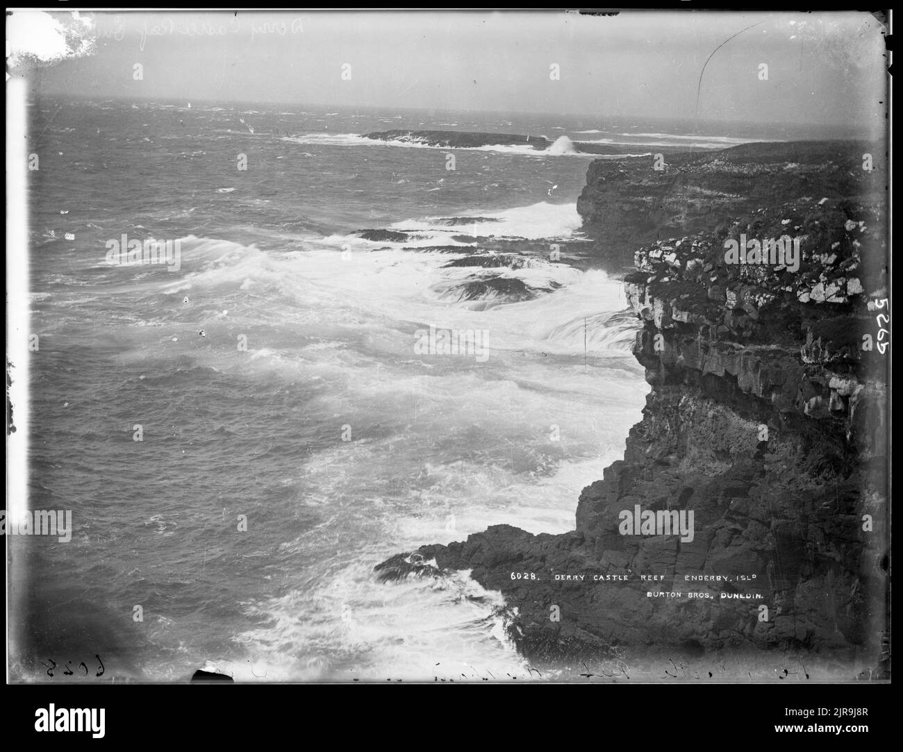"Derry Castle" Reef, Enderby Island, circa 1888, Auckland Islands, by ...