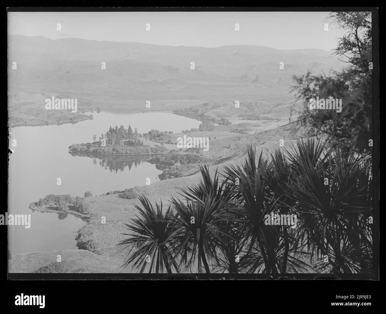 Tutira, circa 1930, Hawke's Bay, by Herbert Guthrie-Smith Stock Photo ...