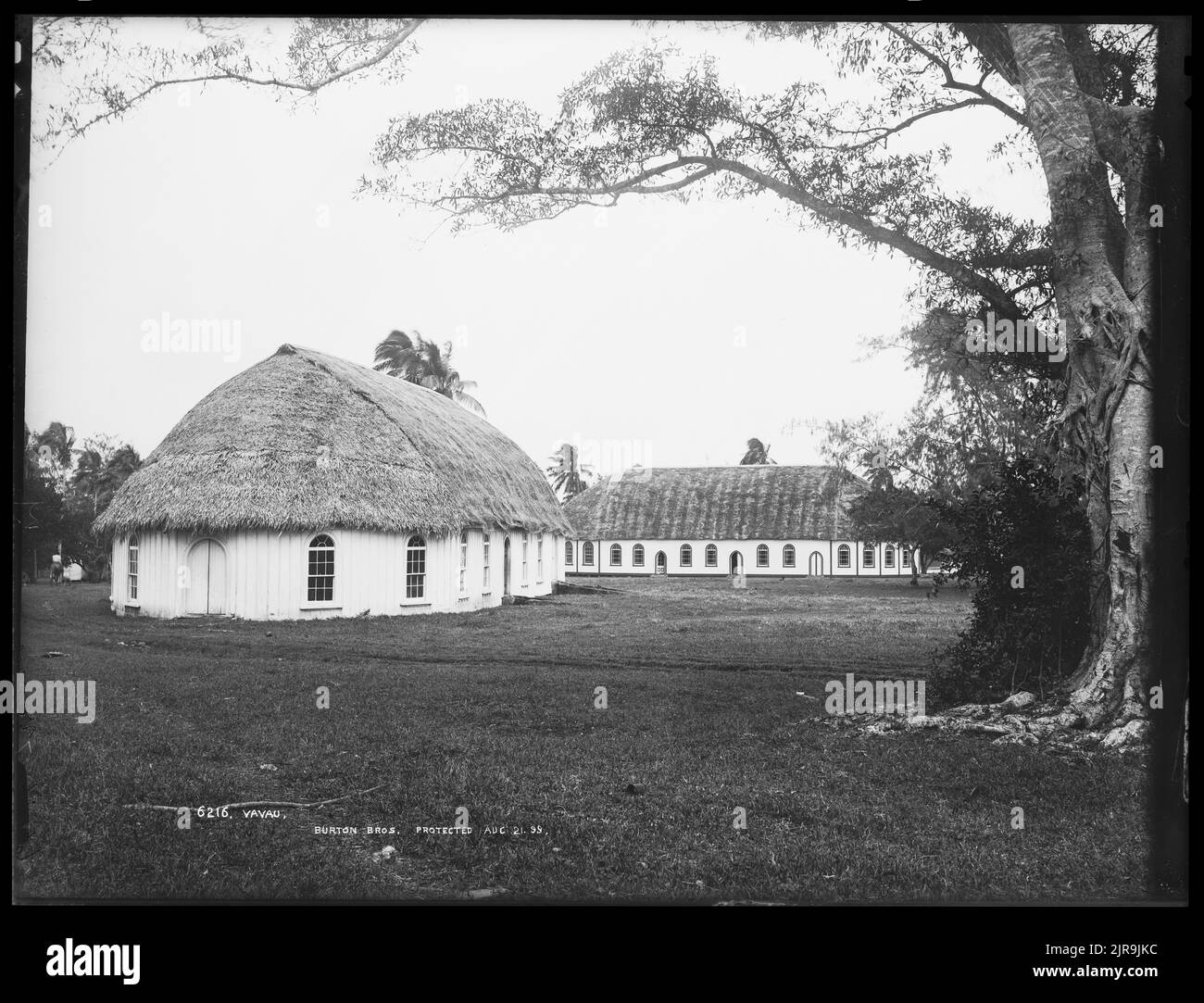 Vavau, 1890s, Neiafu, by Burton Brothers Stock Photo - Alamy