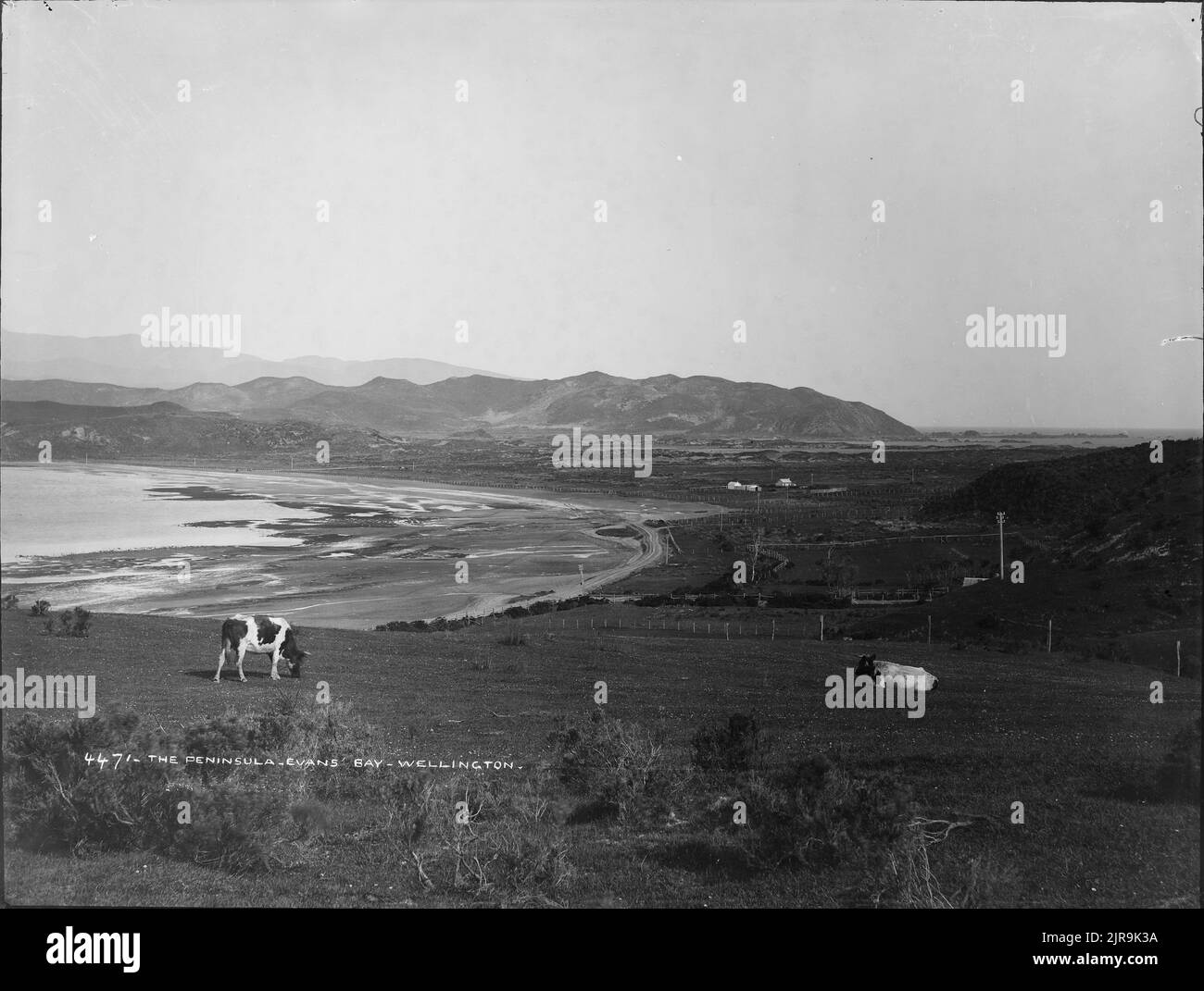 'The Peninsula, Evans Bay, Wellington', 1880s, Dunedin, by Burton ...