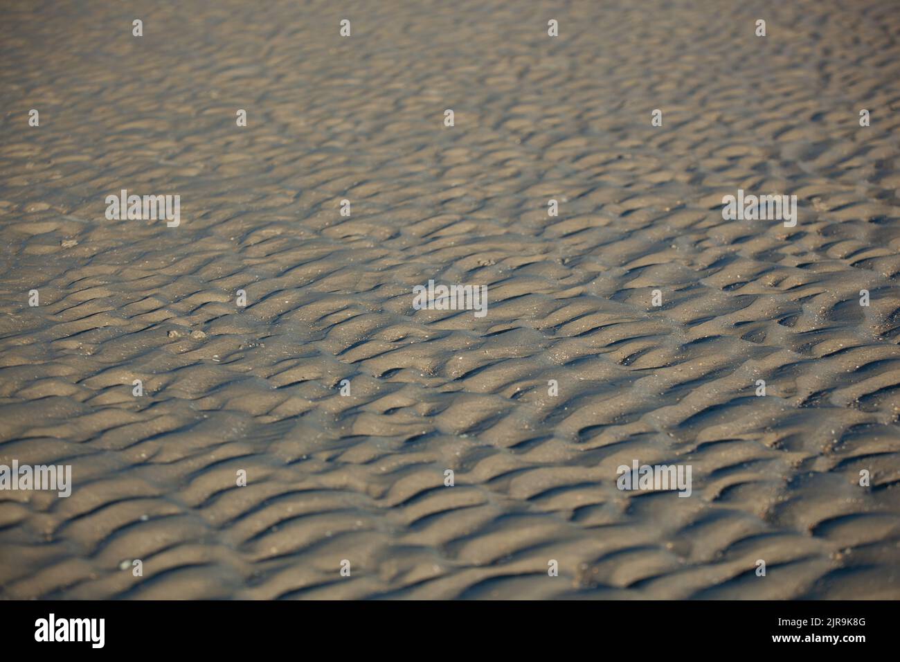 The ocean left marks of the currents on the yellow sand. The sun casts ...