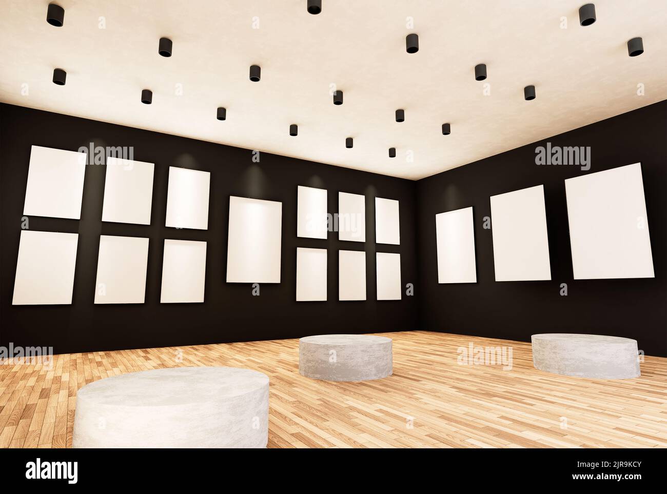 Framed photos in an empty room in Gallery, Virtual Museum, display as a ...