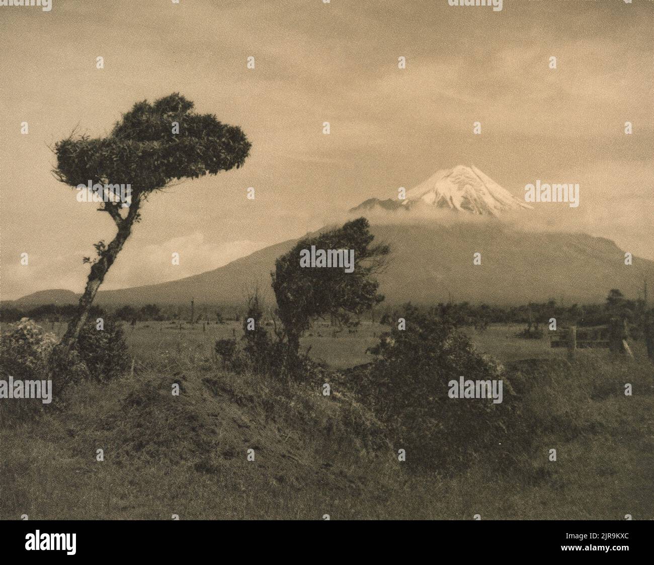 Mount Egmont, circa 1925, Dunedin, by George Chance Stock Photo - Alamy