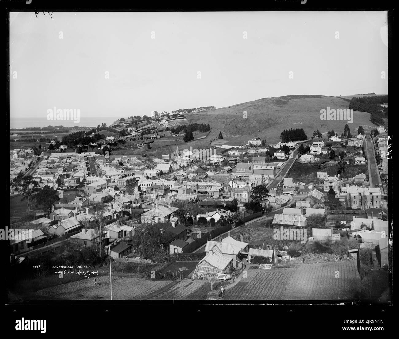 Caversham, Dunedin, circa 1905, Dunedin, by Muir & Moodie Stock Photo ...