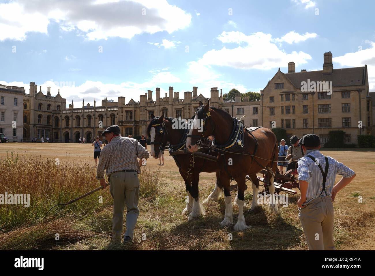 David Lawless (left) and his son Toby Lawless working with shire horses ...