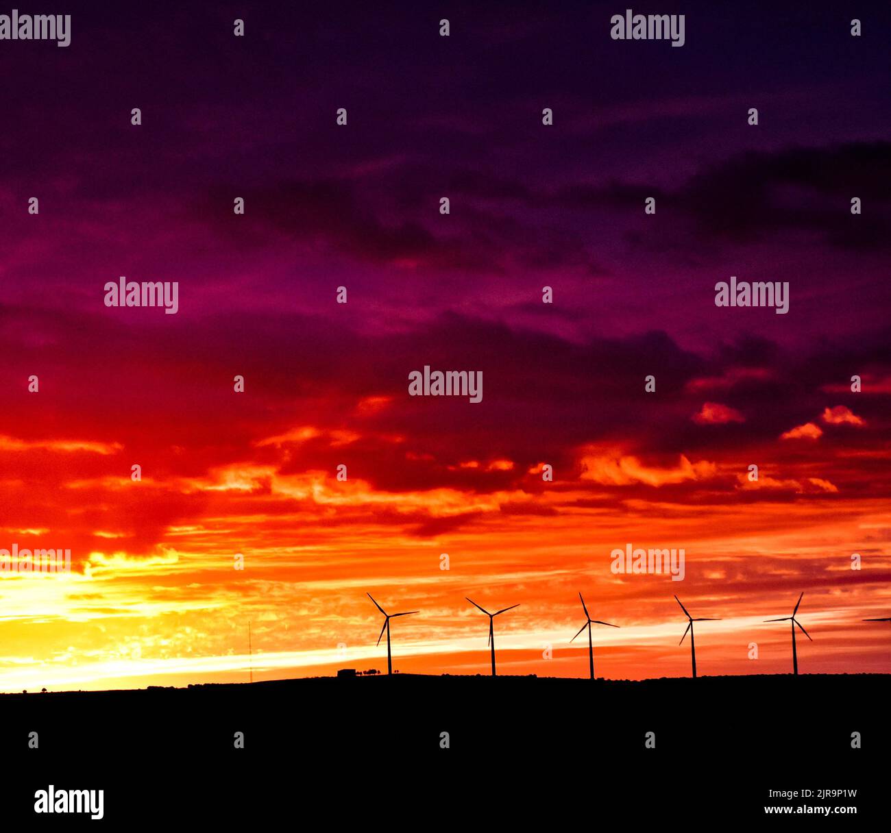 Windmills in the background with a sunset of various colors (orange ...