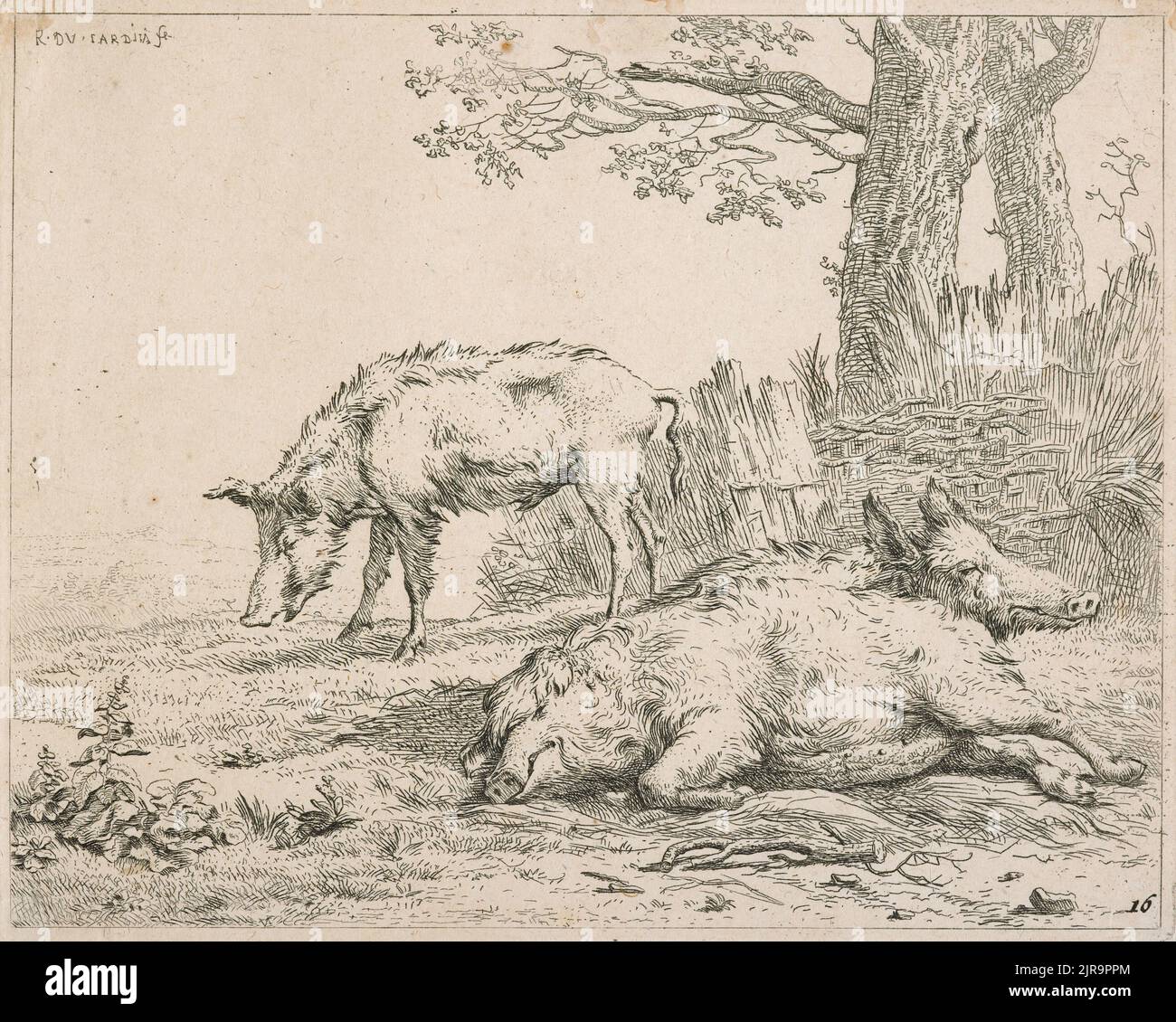 Three swine near a hedge., 1641-1678, by Karel Dujardin. Gift of Bishop ...