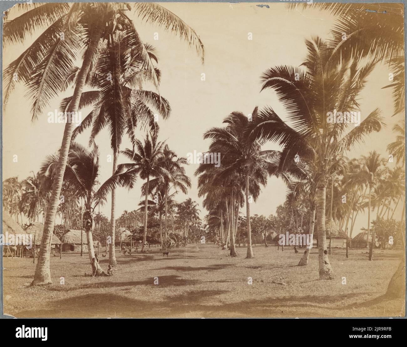 Village in samoa village in samoa hi-res stock photography and images ...