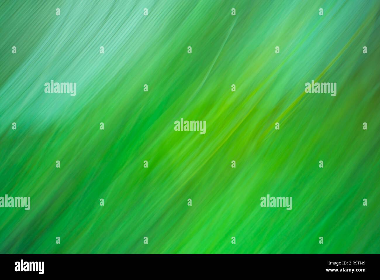 Glowing green nature background with sunburst. Abstract nature green ...