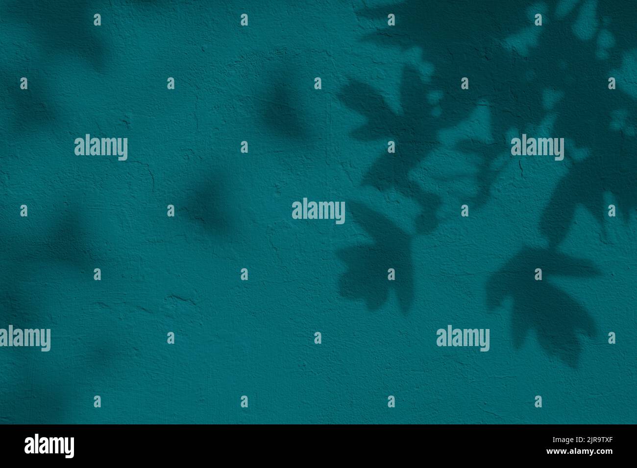 Shadow of leaves on turquoise concrete wall texture background Stock Photo - Alamy