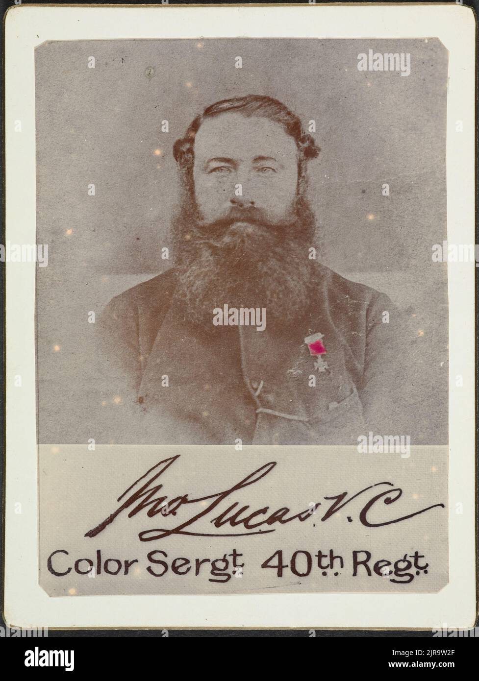 John Lucas V.C., Color Sergeant 40th Regiment, circa 1900, by William ...