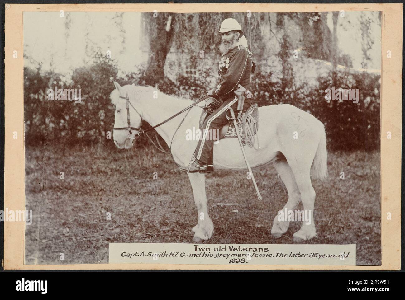 Two old veterans: Captain A. Smith, N.Z.C. and his grey mare, Jessie ...