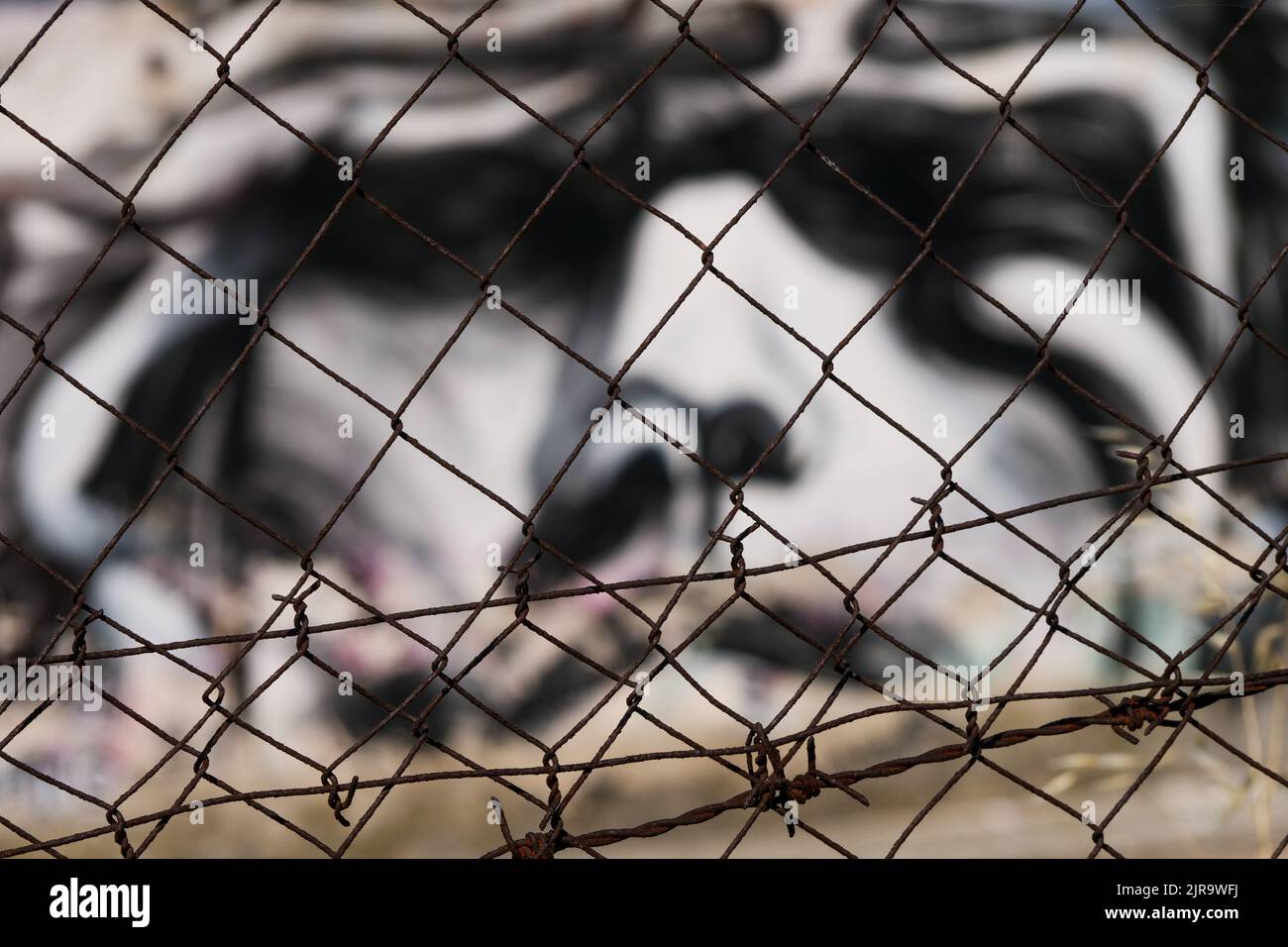 Wallpaint, Kavala, Macedonia, North-Eastern Greece Stock Photo - Alamy
