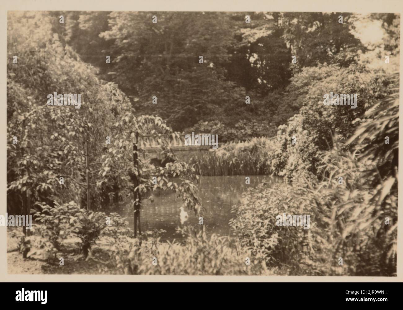 Peckham park bridge hi-res stock photography and images - Alamy