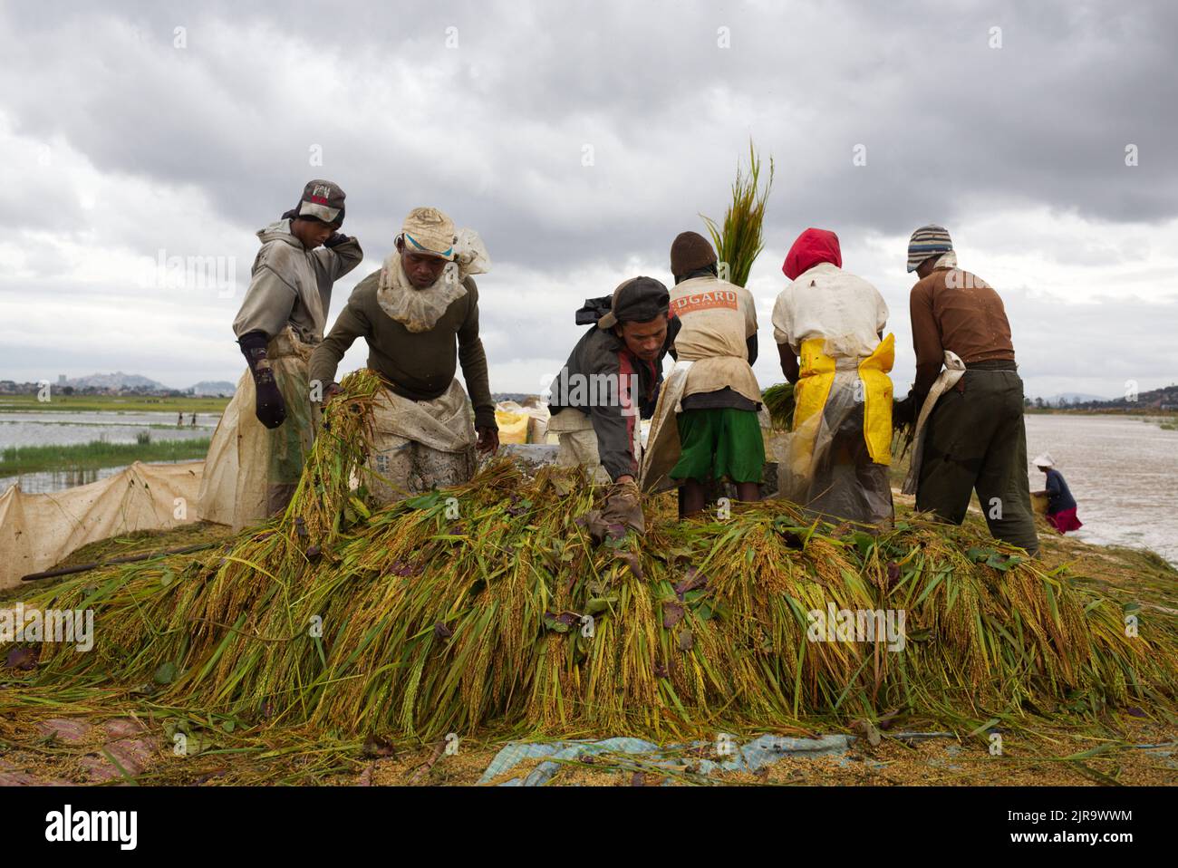 Team work labor hi-res stock photography and images - Alamy
