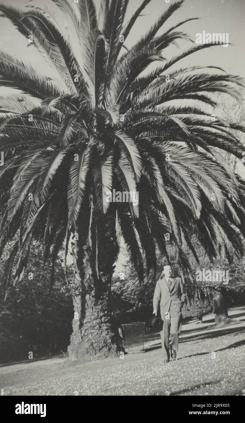 Eric Lee-Johnson and phoenix palm, Albert Park, Auckland, 1938 ...