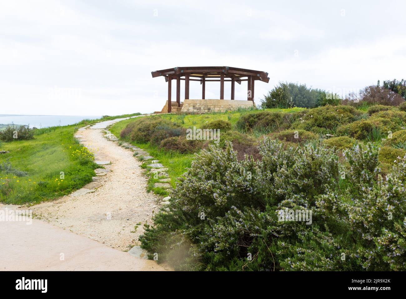 natural green trees and bushes background with path Stock Photo - Alamy