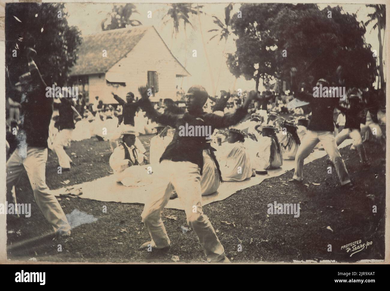 Cook Islanders dancing at an outdoor event. From the album: Cook ...