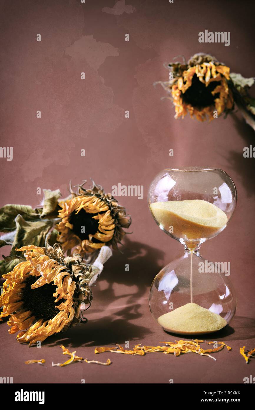 Autumntime still life with hourglass, sand clock and natural dry plants ...