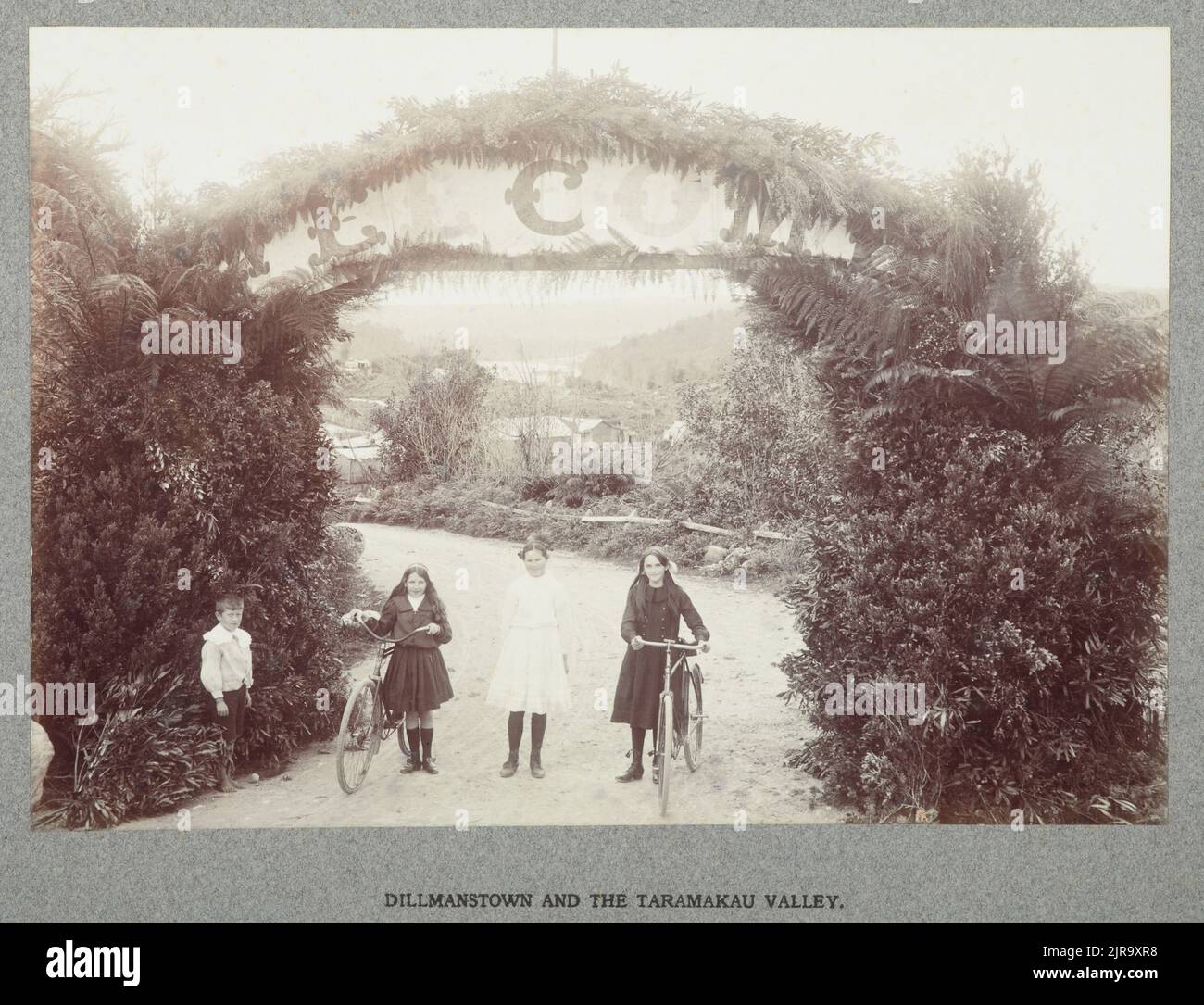 Dillmanstown and the Taramakau Valley. From the album: The Taramakau ...