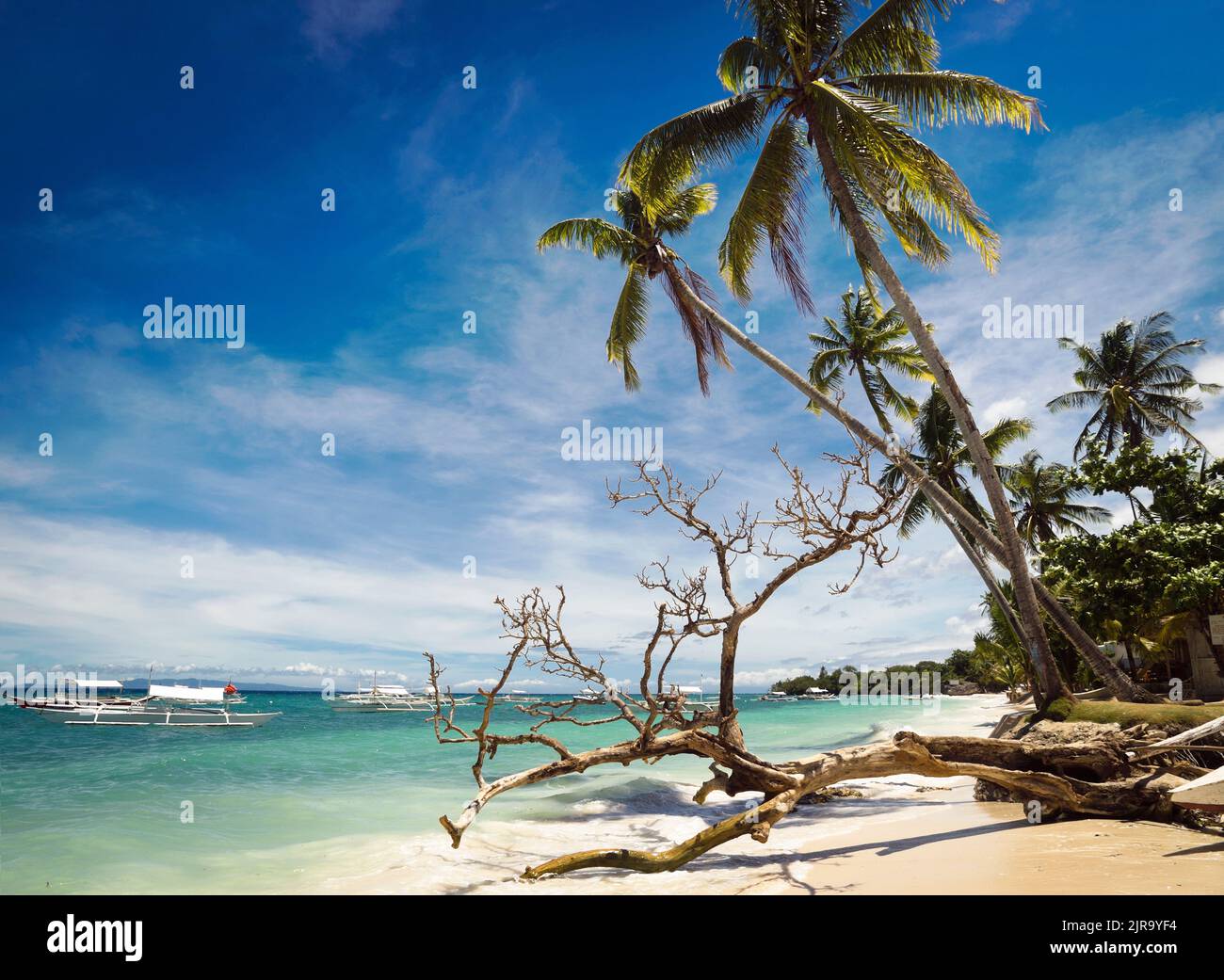 Alona Beach is an beautiful idyllic beach with palm trees and turquoise ...