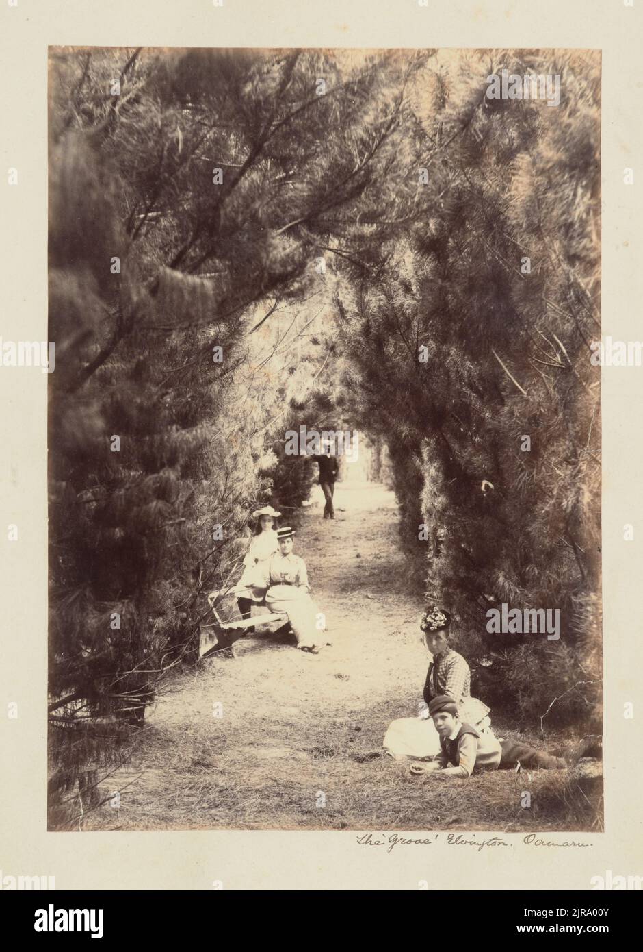 The 'Grove', Elvington, Oamaru. From the album: Fenwick Album of New ...