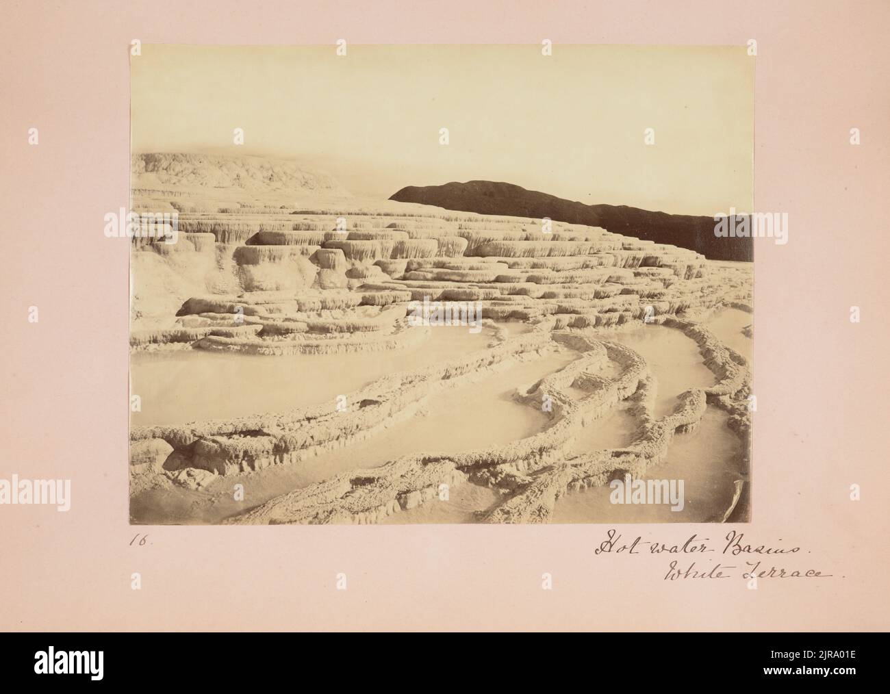 Hot Water Basins, White Terrace. From the album: Fenwick Album of New ...