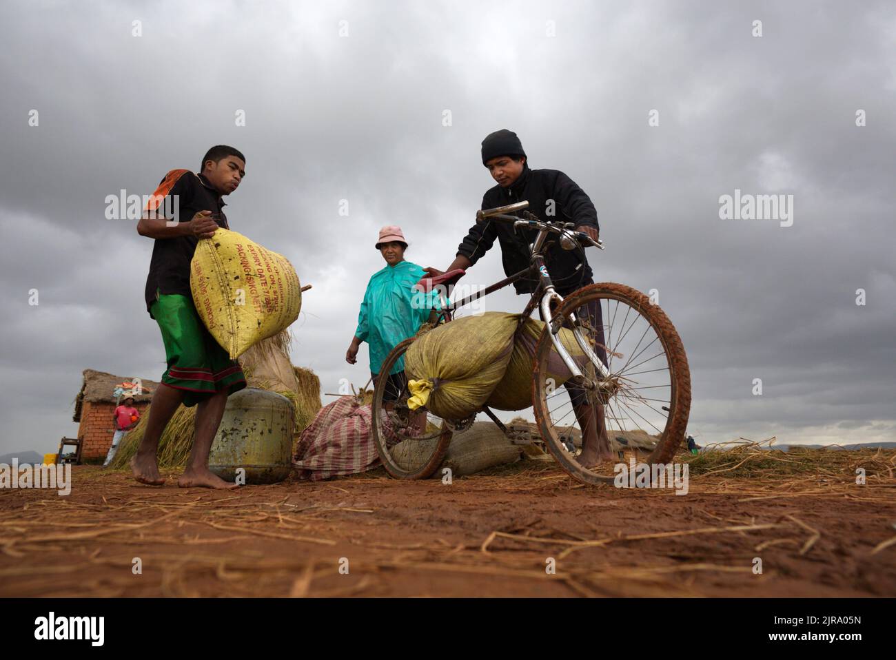Family rice field hi-res stock photography and images - Alamy