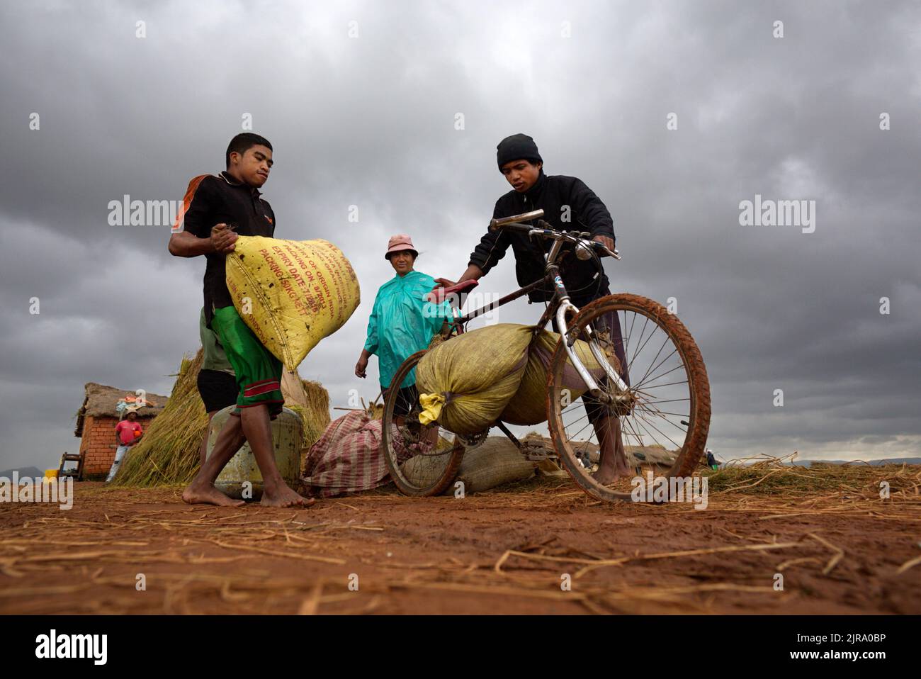 Family rice field hi-res stock photography and images - Alamy