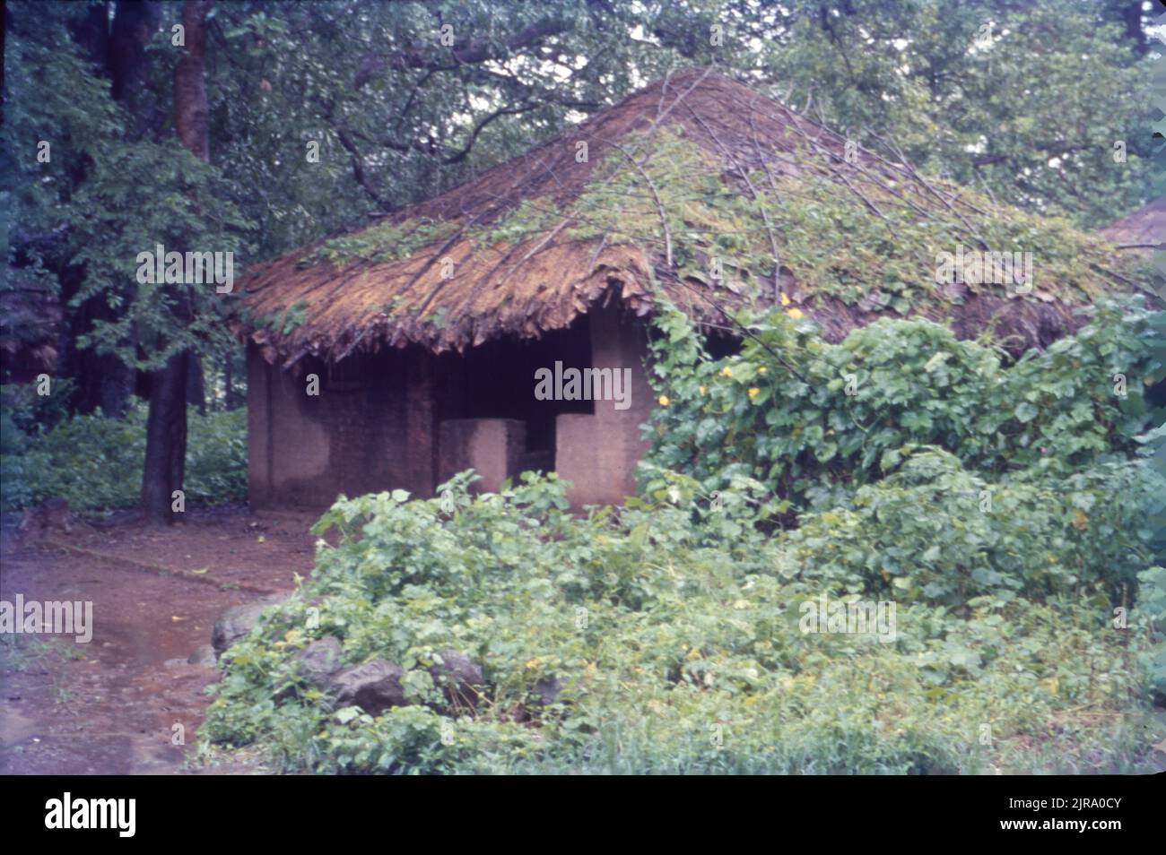 House with greenery, slopping roof in Kerala, India Stock Photo - Alamy