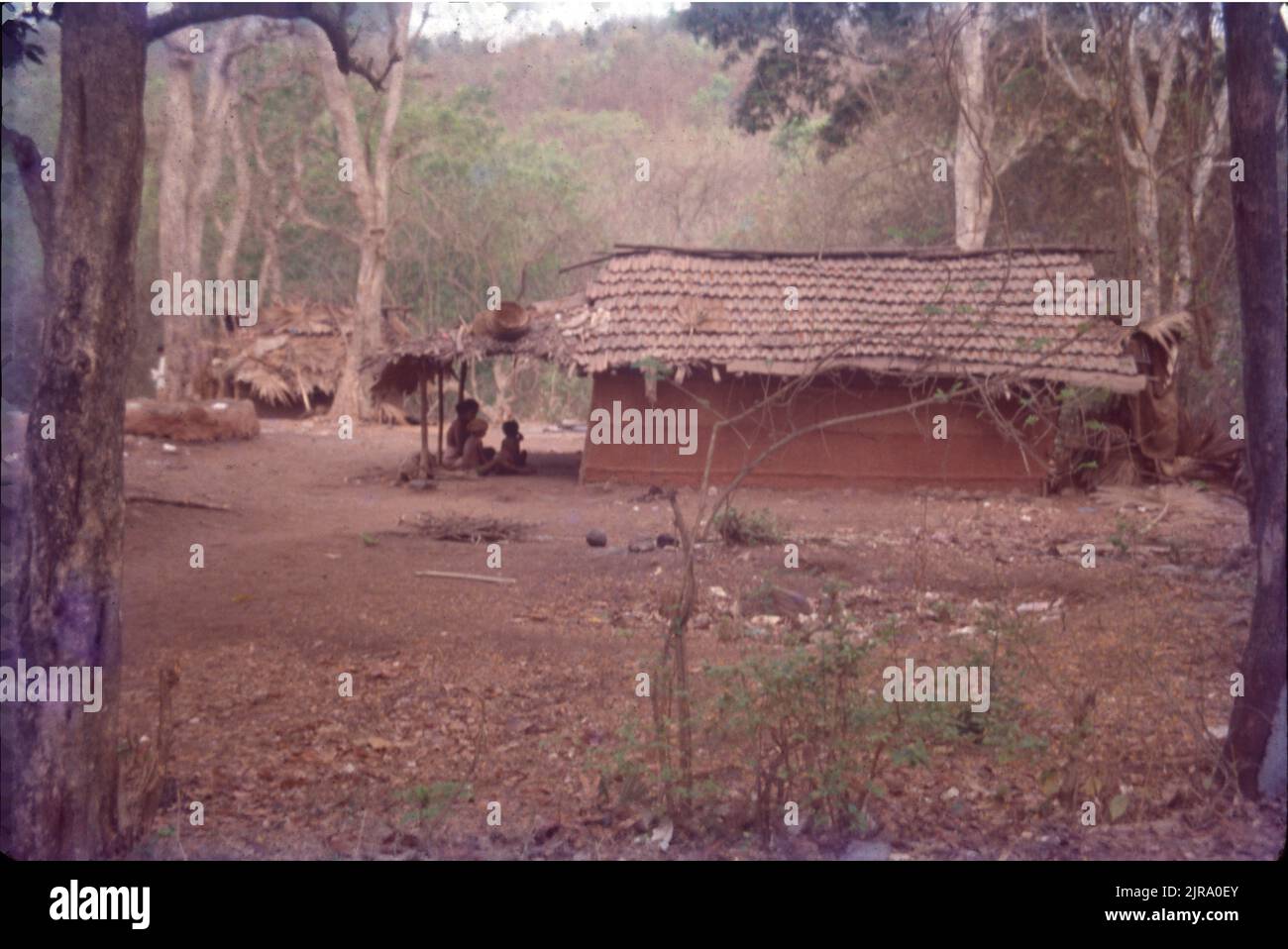 Tulsi lake hi-res stock photography and images - Alamy