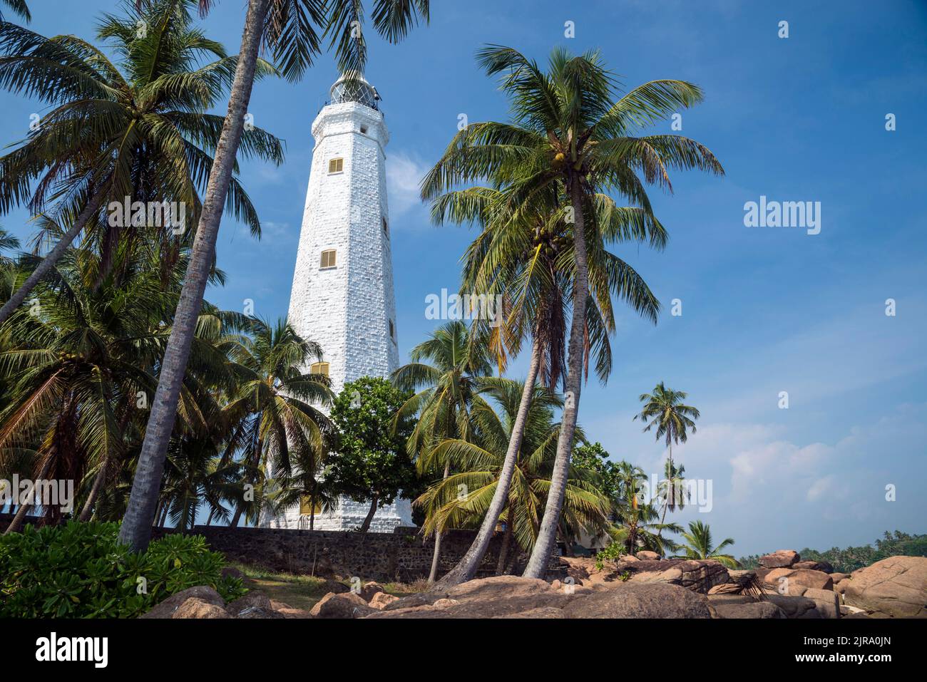 Dondra head lighthouse surrounded by tropical palm trees in Dondra ...