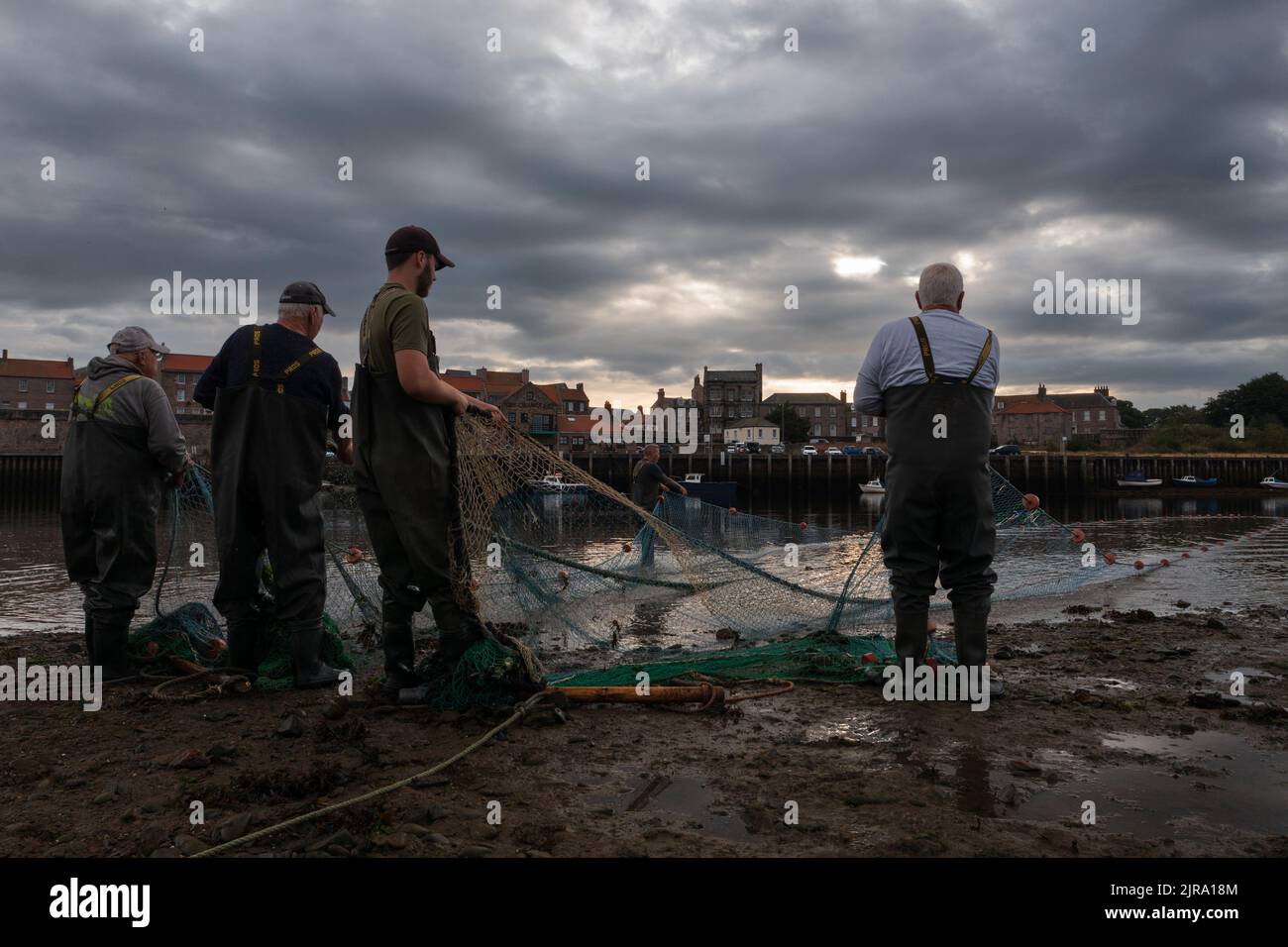 Traditional salmon fishing on the River Tweed at Gardo fishery which ...