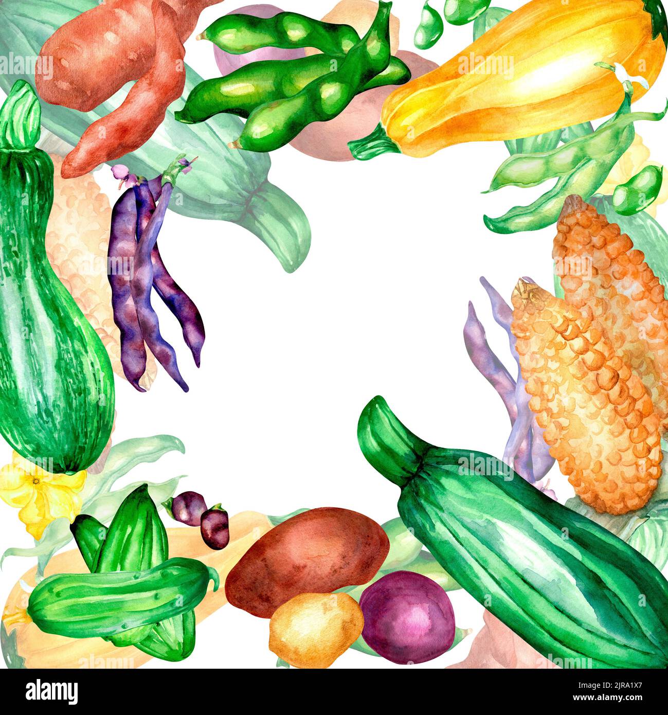 Board of colorful vegetables watercolor illustration isolated. Potatoes ...