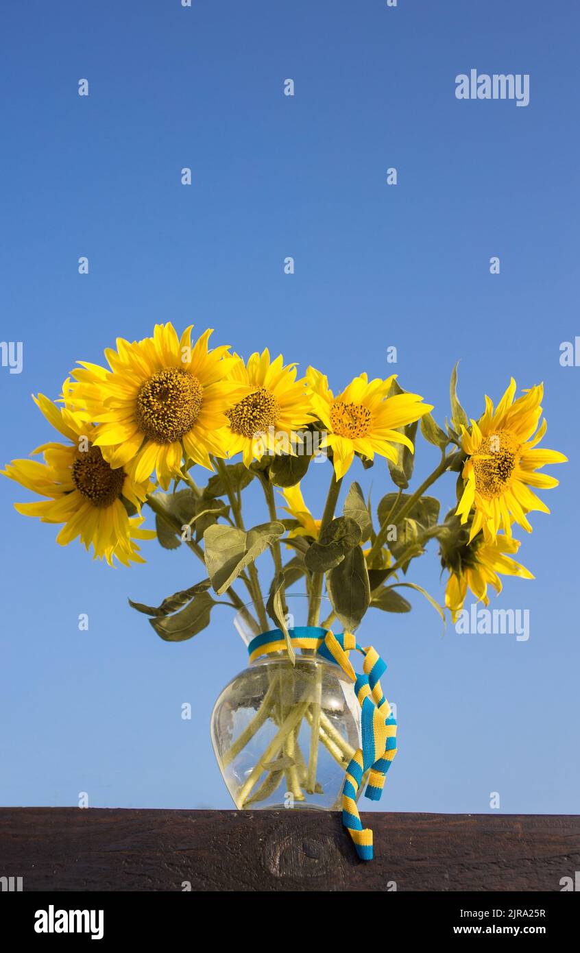 Sunflower in a peace symbol hi-res stock photography and images - Alamy