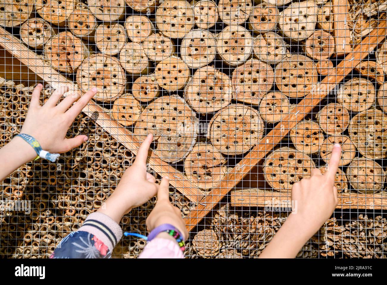 Handmade insect house hi-res stock photography and images - Alamy