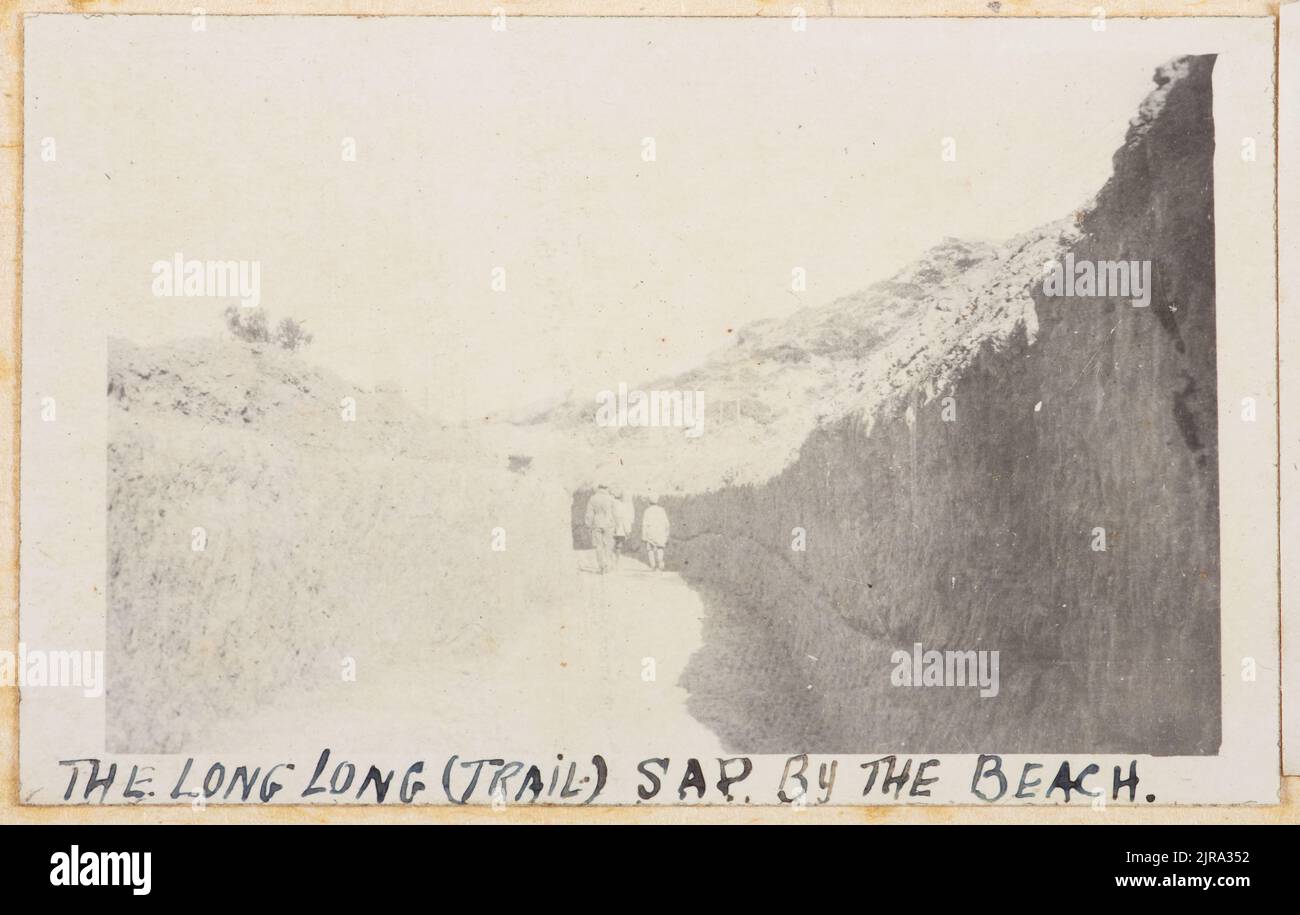 The long, long trail (sap) by the beach. From the album: Photograph ...