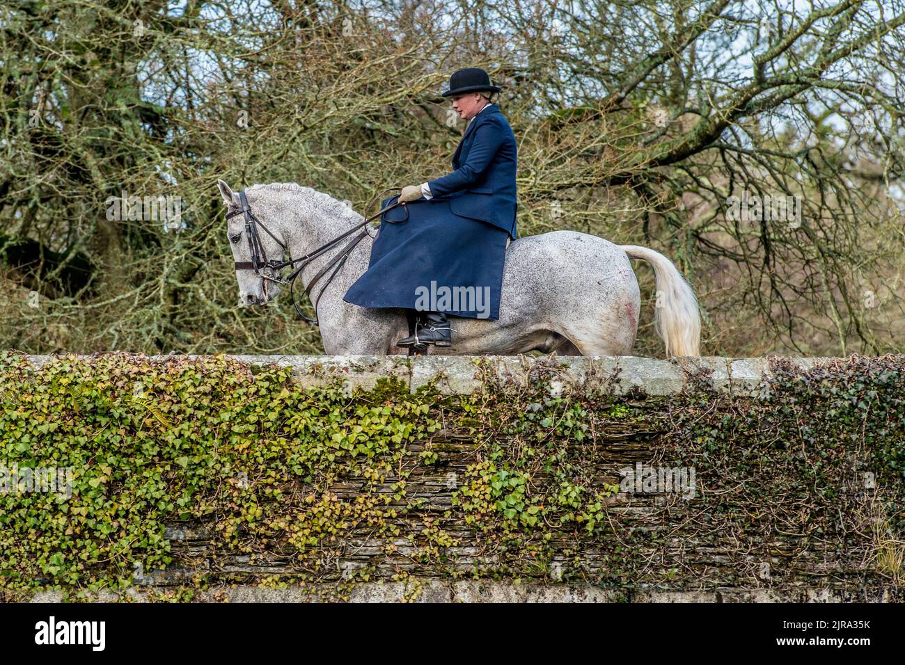 Side saddle hi-res stock photography and images - Alamy