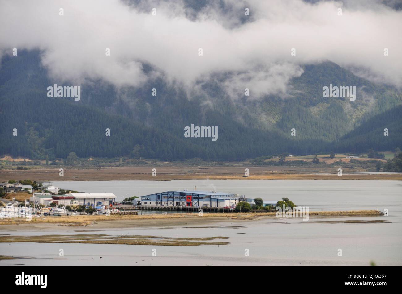 Mussels processing plant hi-res stock photography and images - Alamy