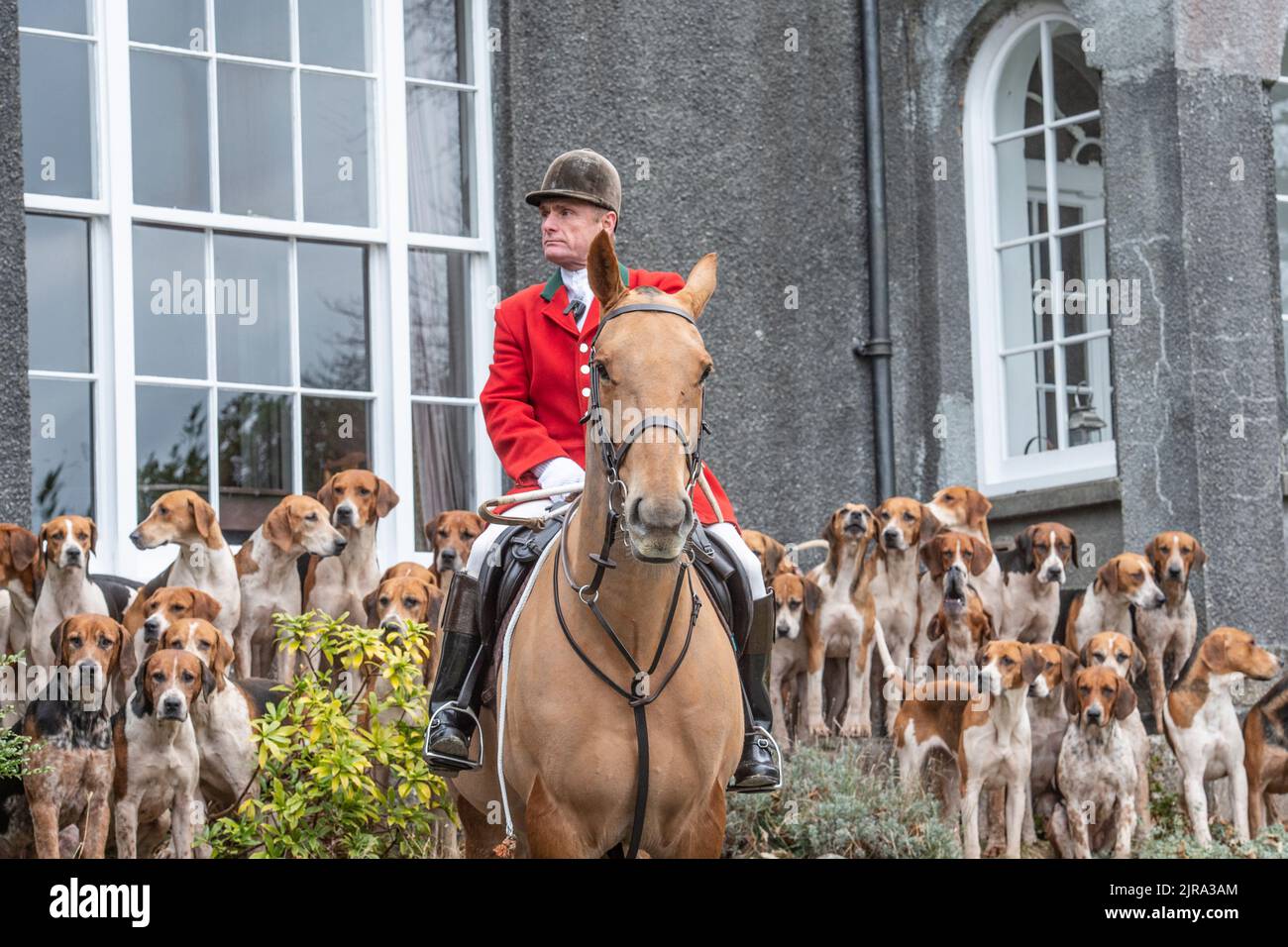 Huntsman stand hi-res stock photography and images - Alamy