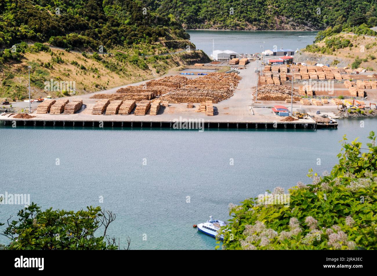 New zealand timber hi-res stock photography and images - Alamy