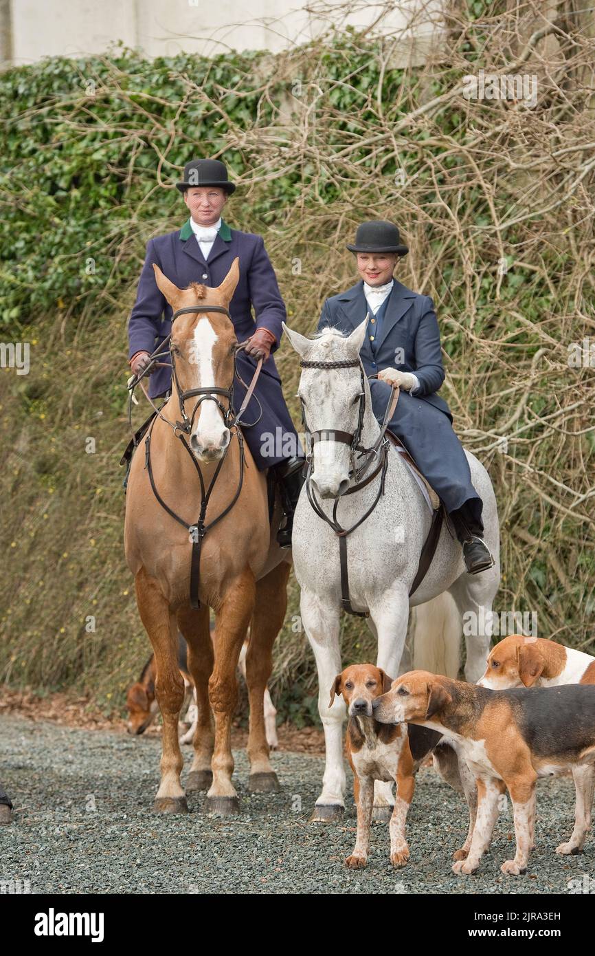 ladies riding side saddle to hounds Stock Photo - Alamy