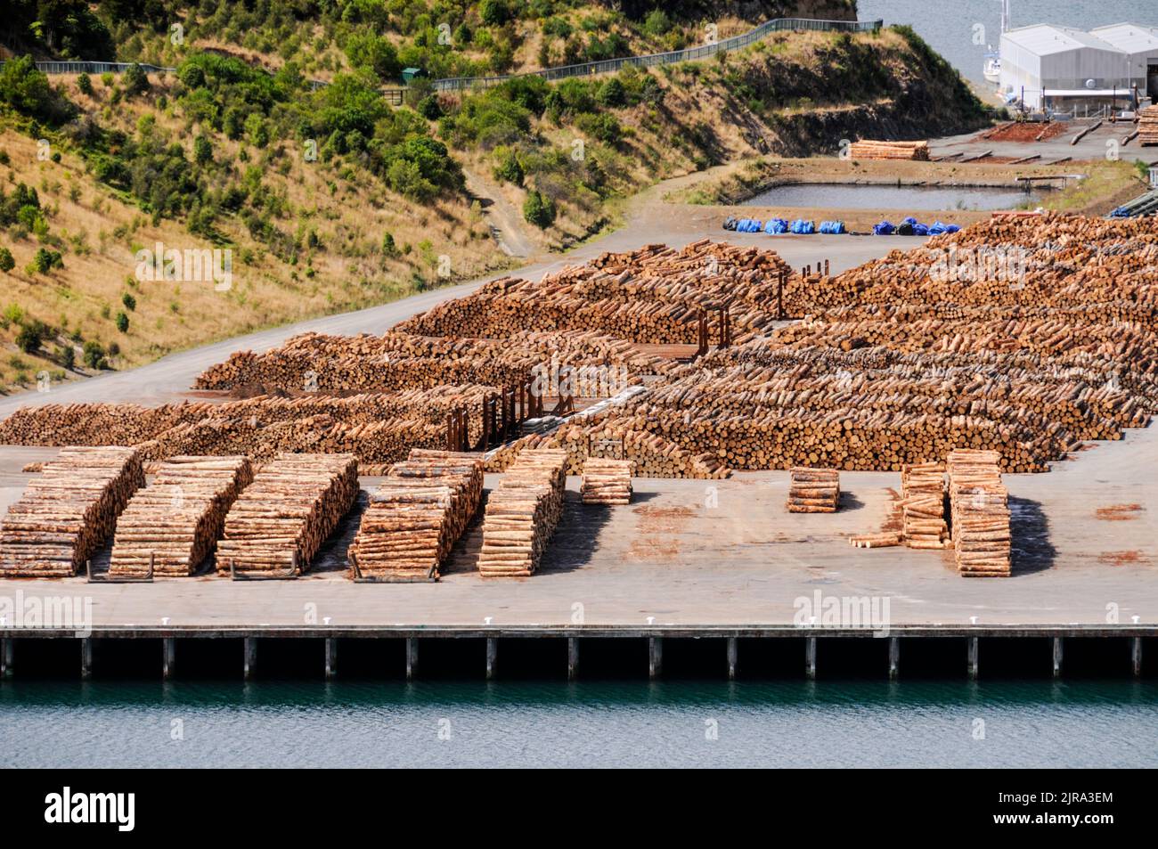 Timber for export to Japan on the quay at Picton on South Island in New ...