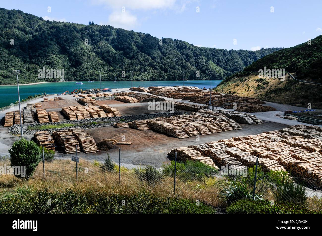 Timber for export to Japan on the quay at Picton on South Island in New ...