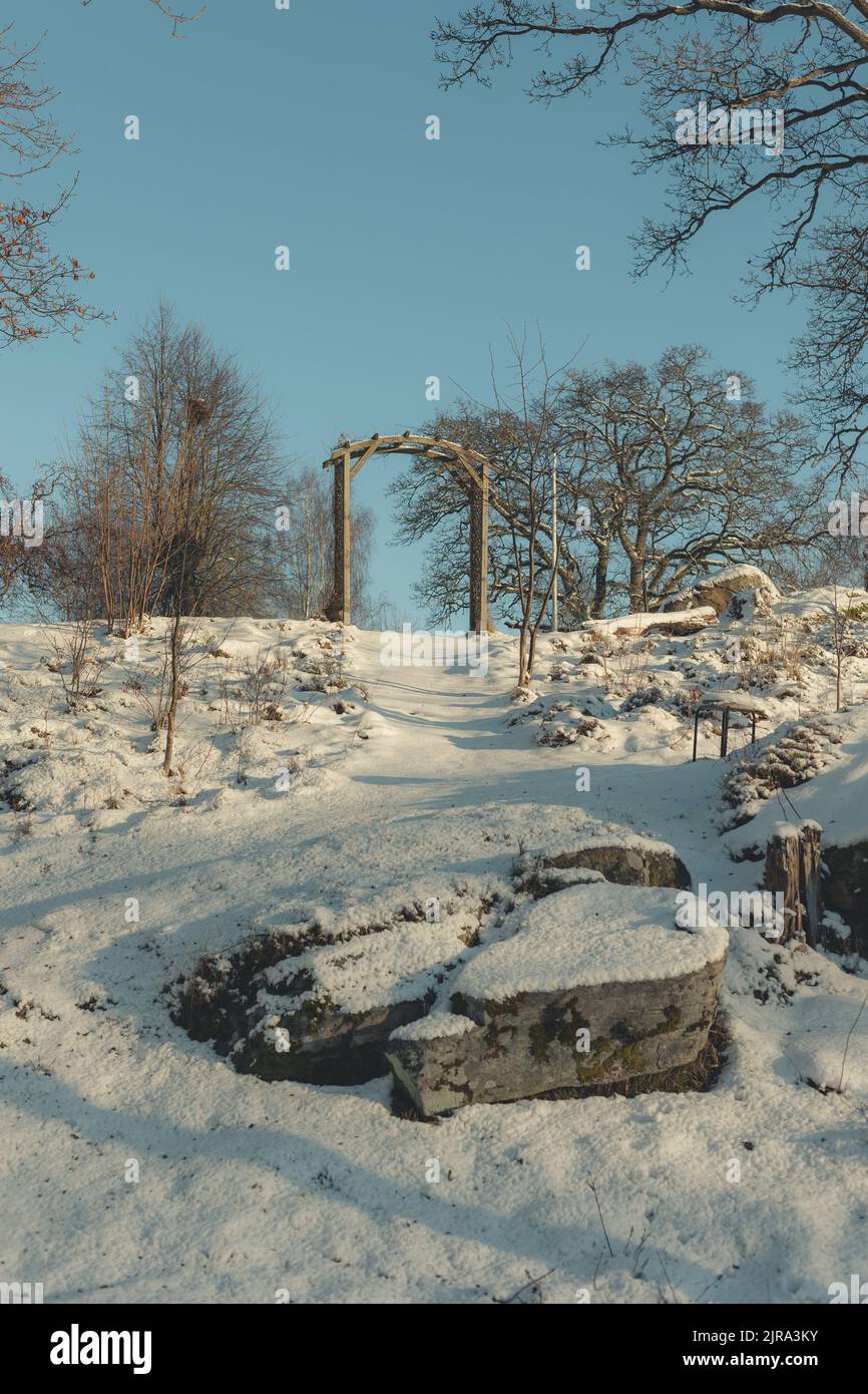 A vertical shot of an arch surrounded by leafless trees. Winter ...