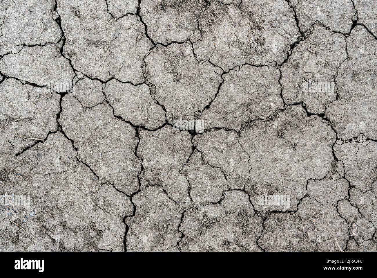 Texture of gray dry cracked earth. The concept of drought, global ...
