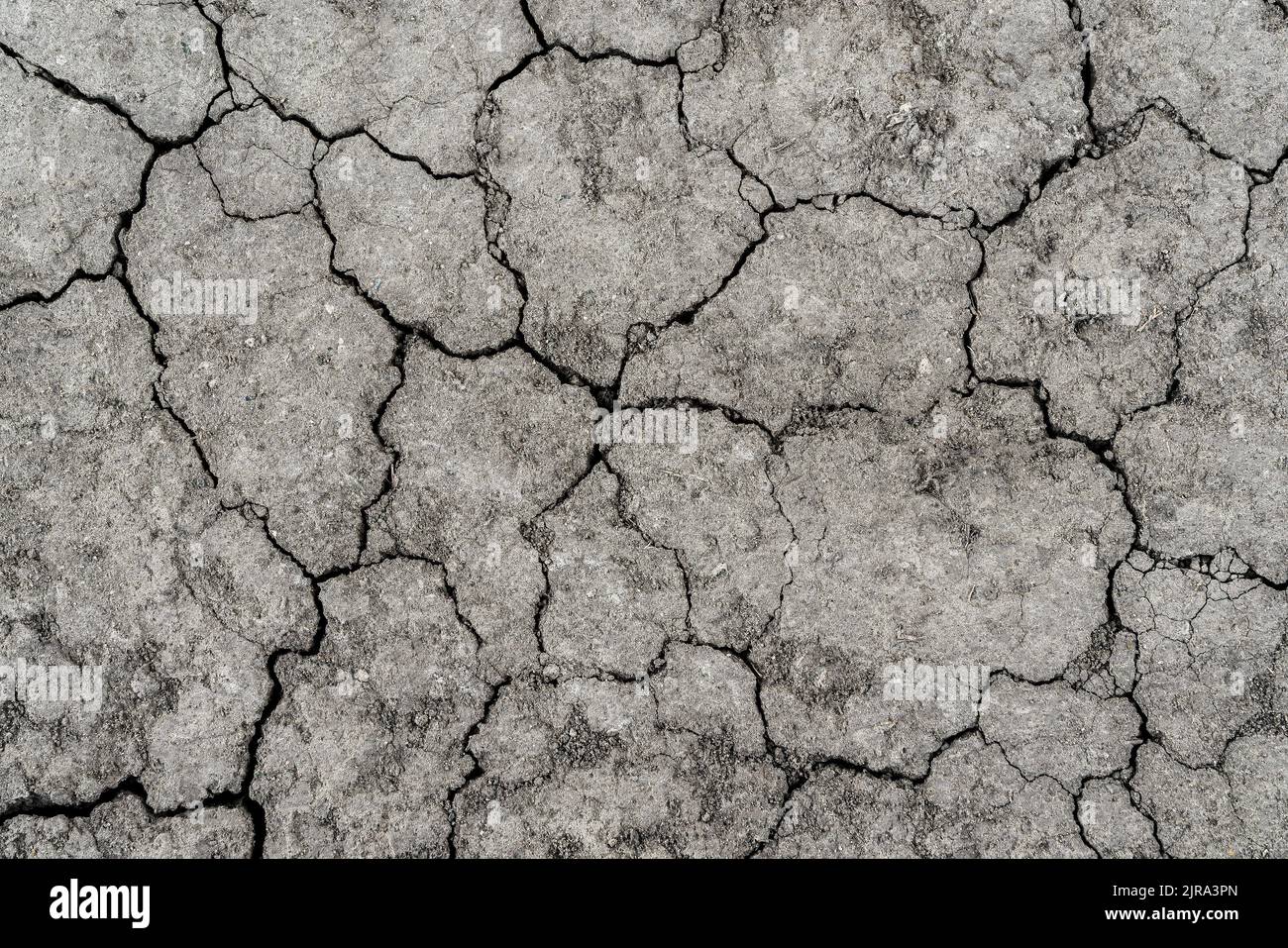 Texture of gray dry cracked earth. The concept of drought, global ...